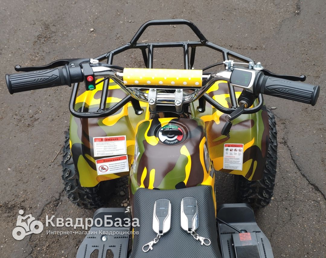 Квадроцикл детский электрический ATV Classic E 1000W - купить с ...